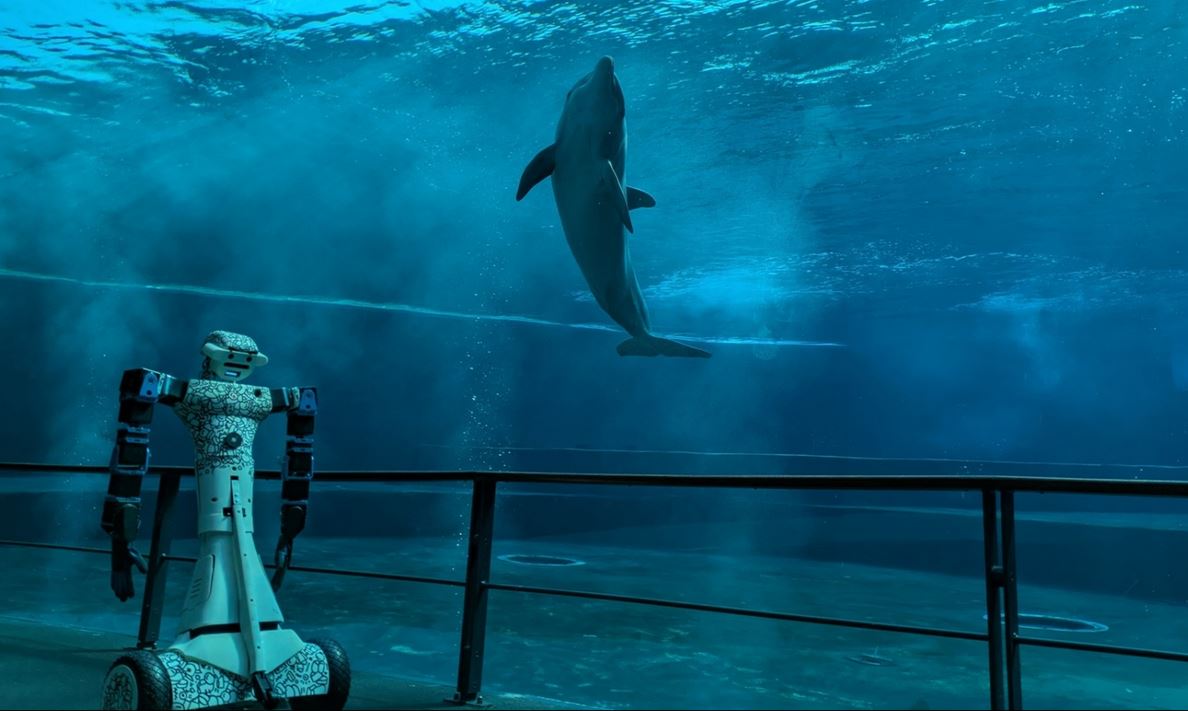 Progetto RAISE - Spoke 4: Alter Ego all’Acquario ha incantato i visitatori - IRCRES